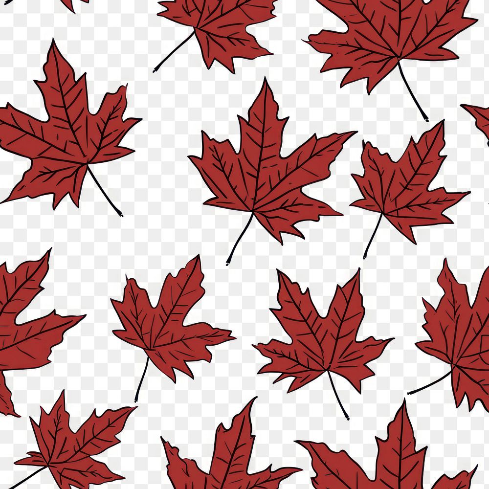 PNG Maple leaf backgrounds pattern | Free PNG - rawpixel