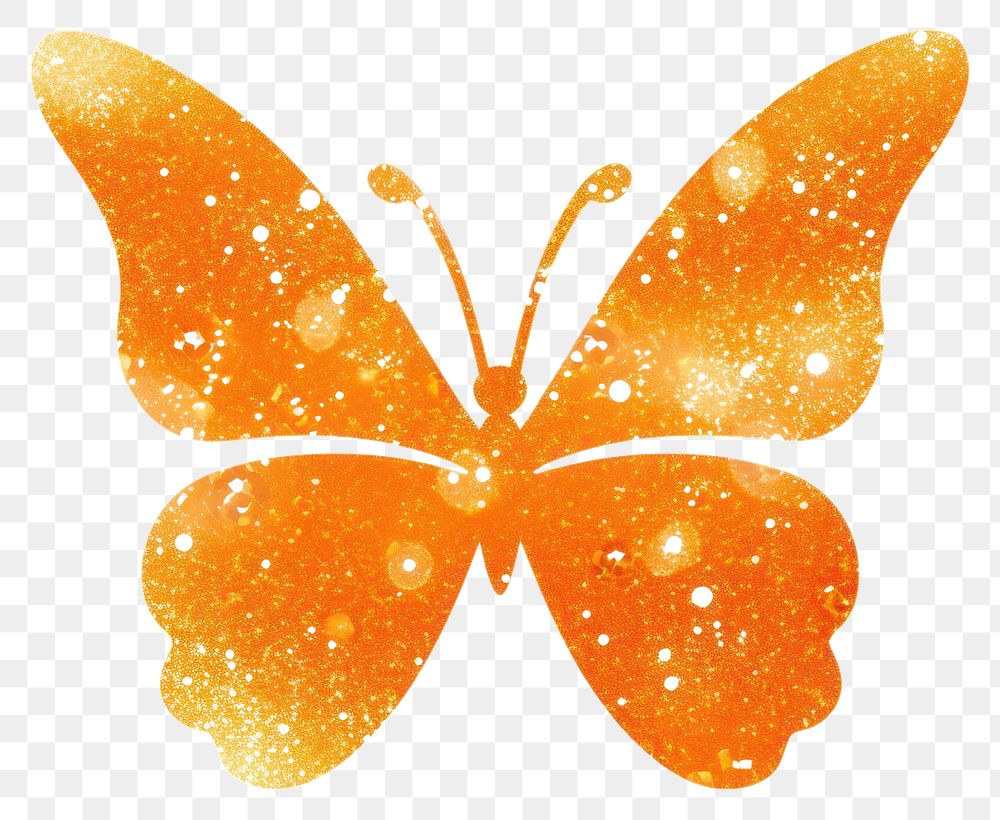PNG Orange butterfly icon petal | Free PNG - rawpixel