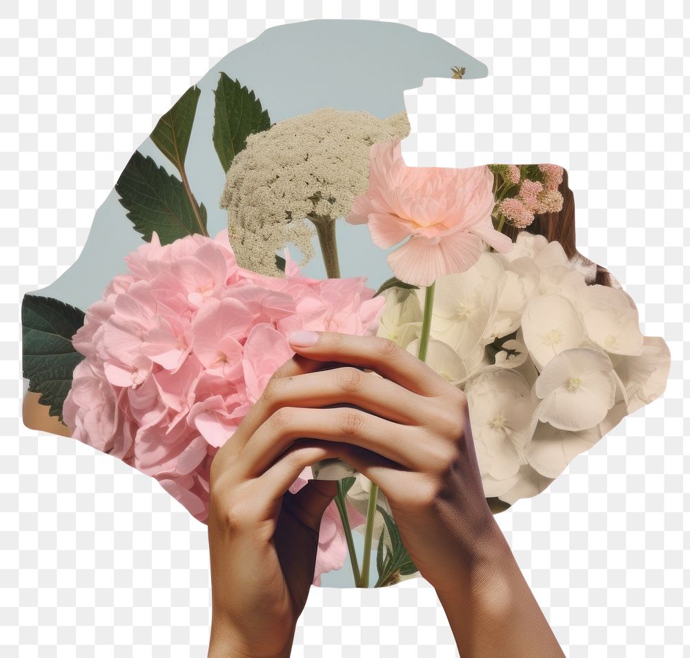 PNG Floral hands abstract pastel | Free PNG - rawpixel