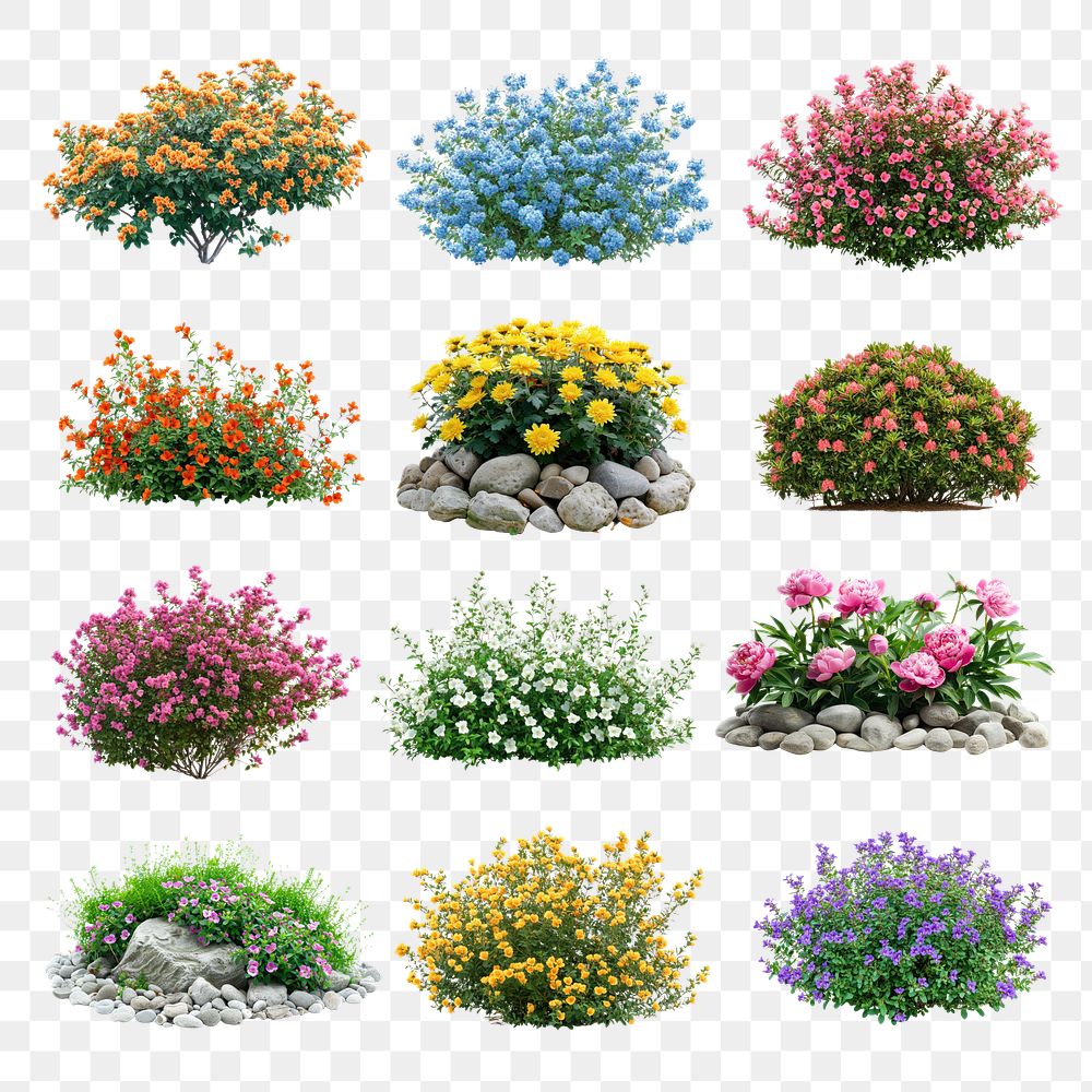 PNG flower bush element set, | Premium PNG - rawpixel