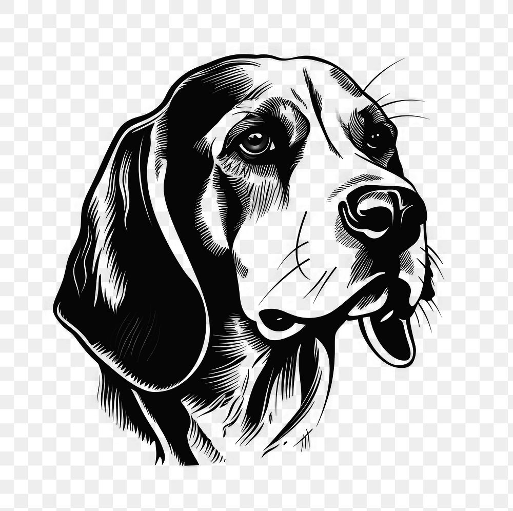 PNG Beagle dog drawing animal | Free PNG - rawpixel