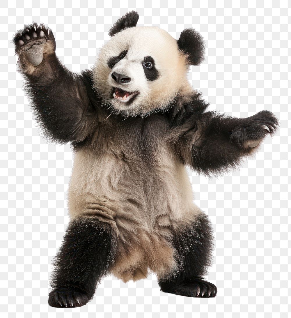 PNG Happy smiling dancing giant | Free PNG - rawpixel