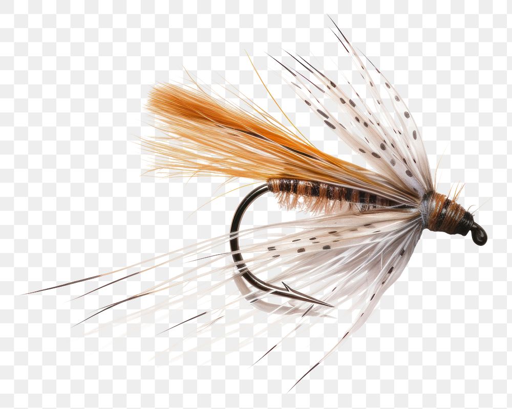 Fly Fishing Images | Free Photos, PNG Stickers, Wallpapers ...