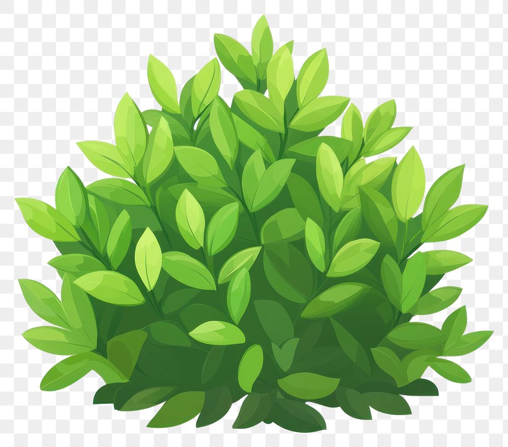 PNG Cartoon shrub bush illustration | Premium PNG - rawpixel