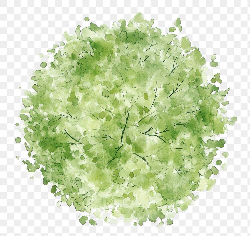PNG Green tree illustration watercolor | Free PNG - rawpixel
