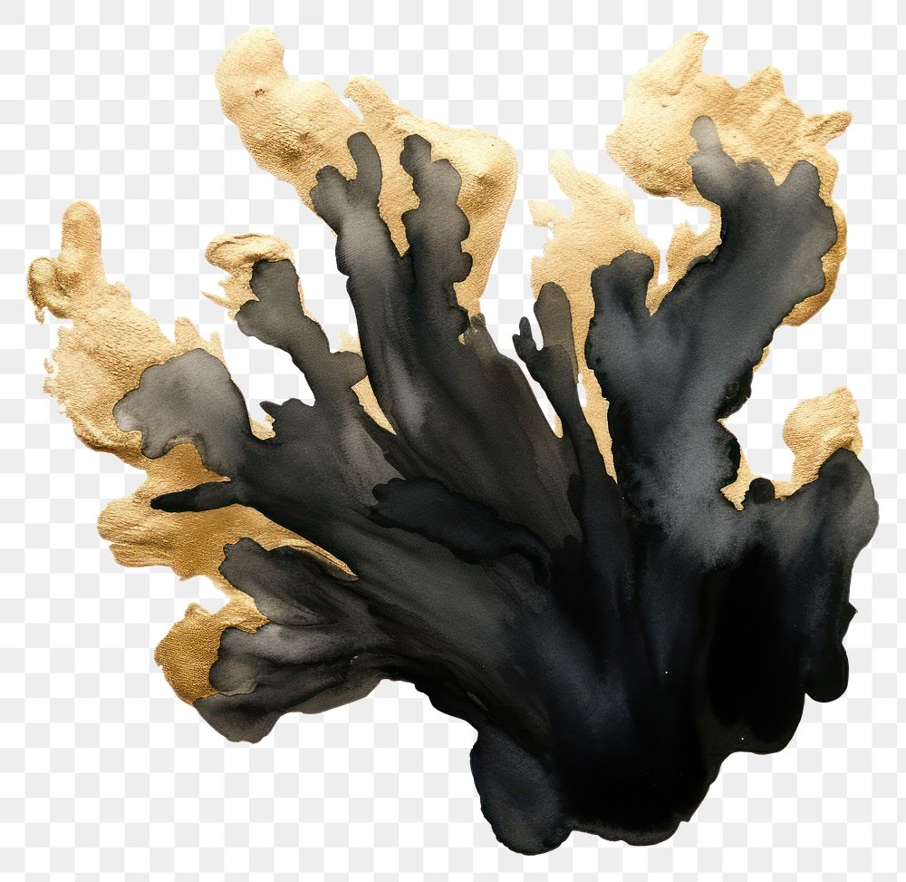 PNG Black color coral paint | Free PNG - rawpixel