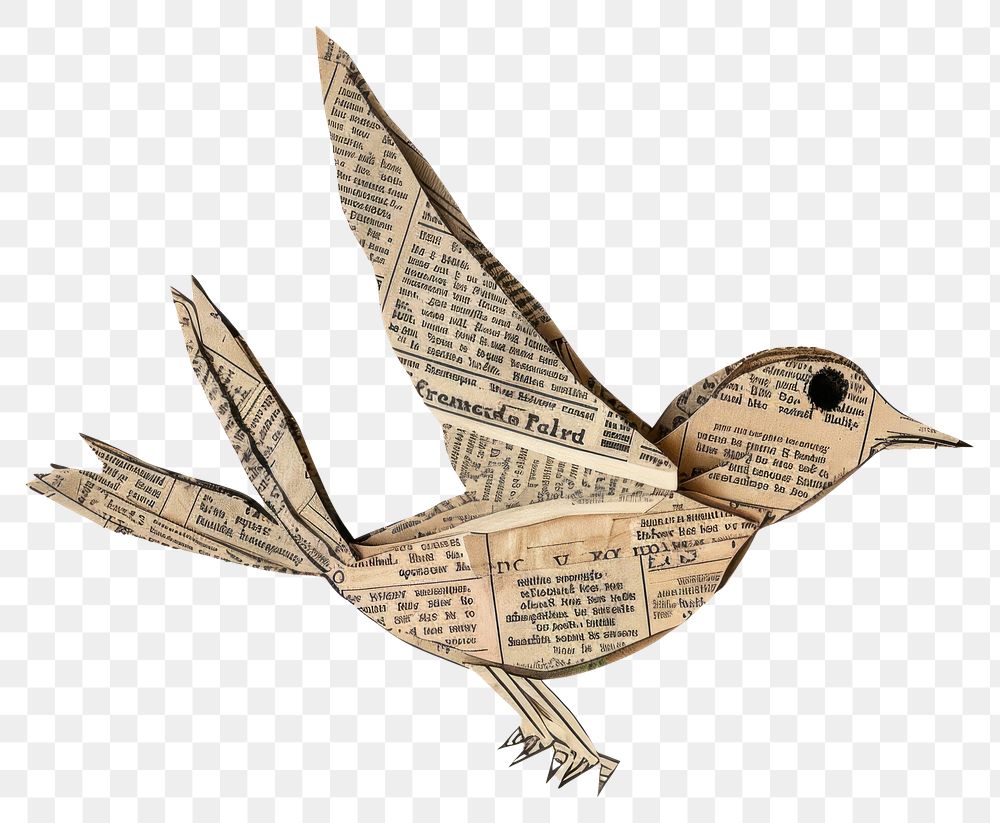 PNG Paper bird art animal | Free PNG - rawpixel