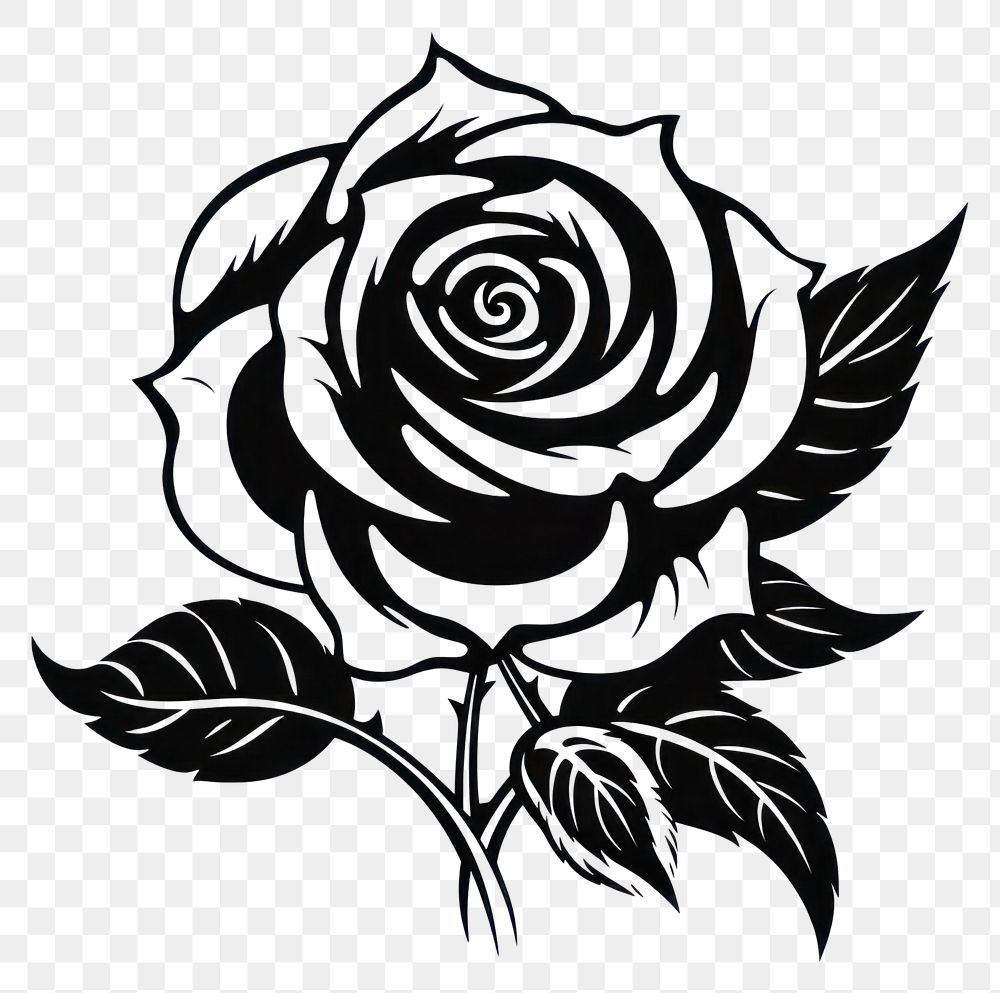 PNG Rose drawing flower sketch. | Free PNG - rawpixel
