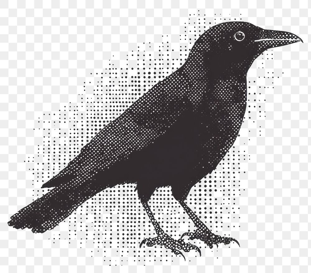 PNG simple full body crow | Premium PNG - rawpixel