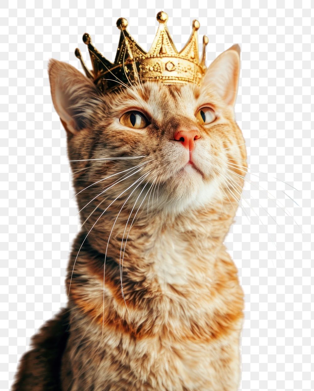 PNG Gold vintage crown animal | Free PNG - rawpixel