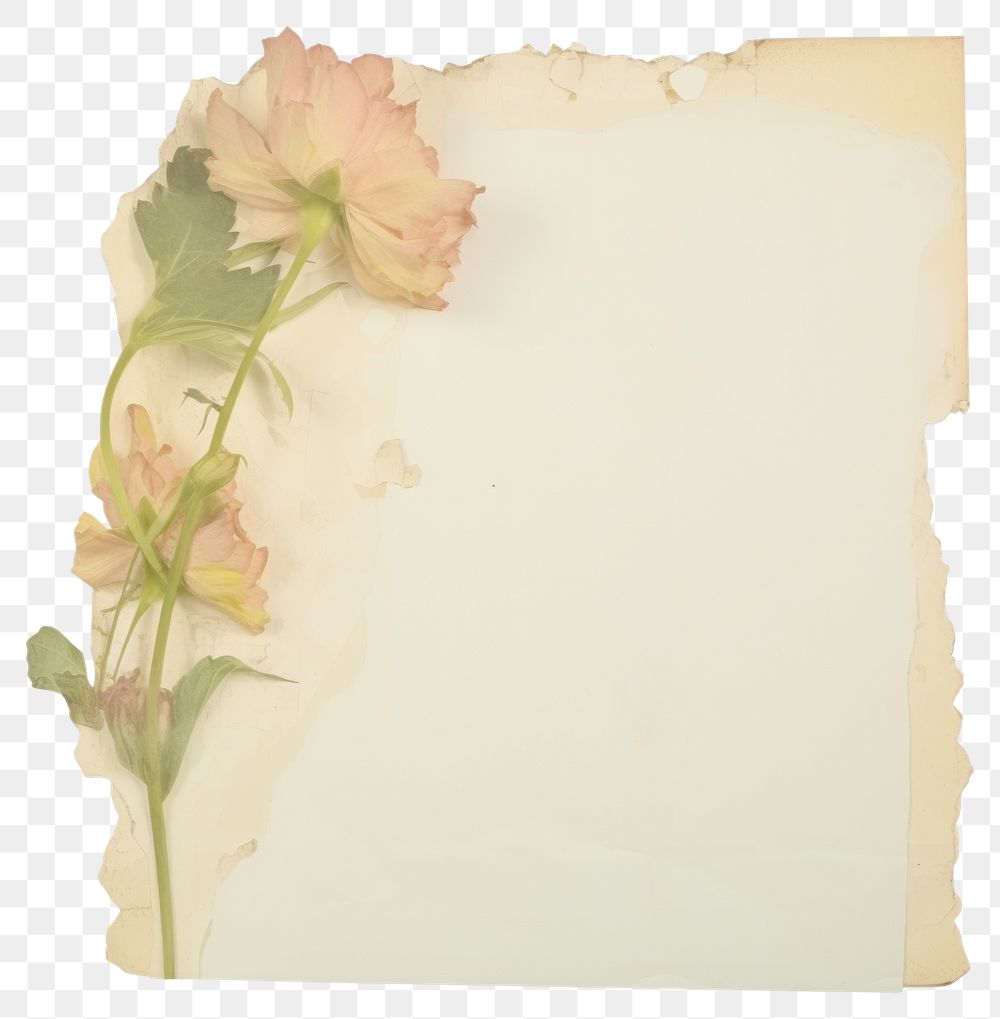 PNG Flower ripped paper petal | Free PNG - rawpixel