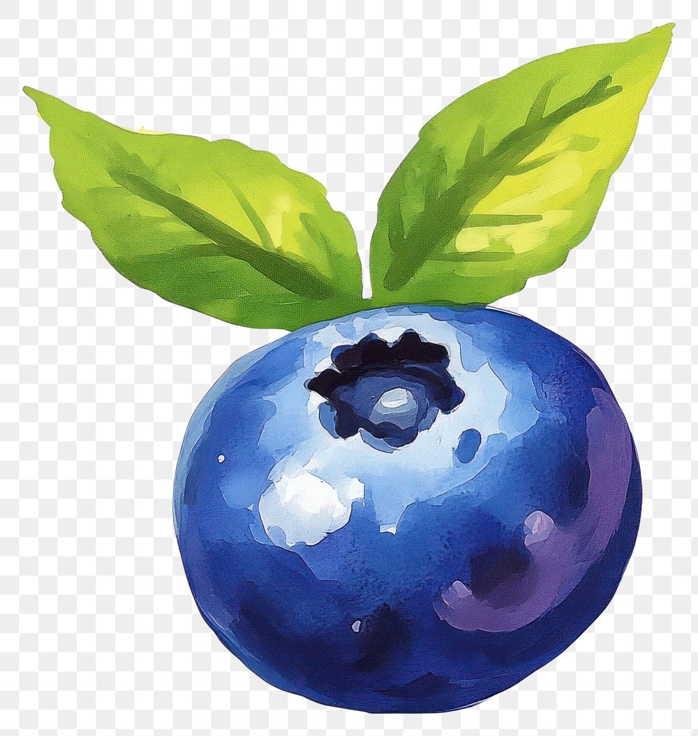 PNG Blueberry illustration fruit art. | Free PNG - rawpixel