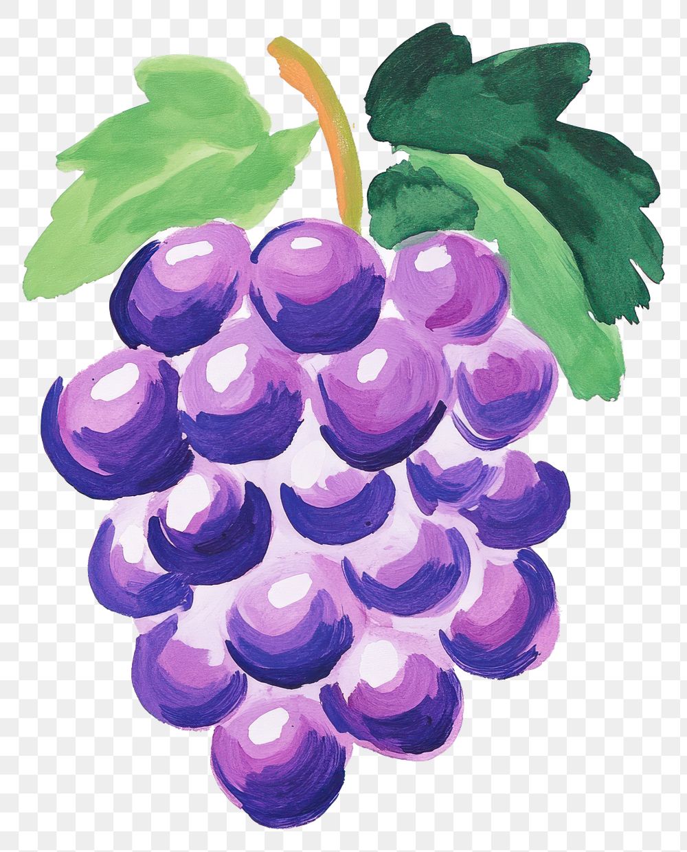 PNG Grape grapes illustration fruit. | Free PNG - rawpixel