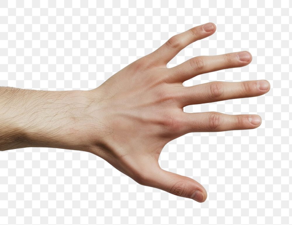 PNG Back hand touching something | Free PNG - rawpixel