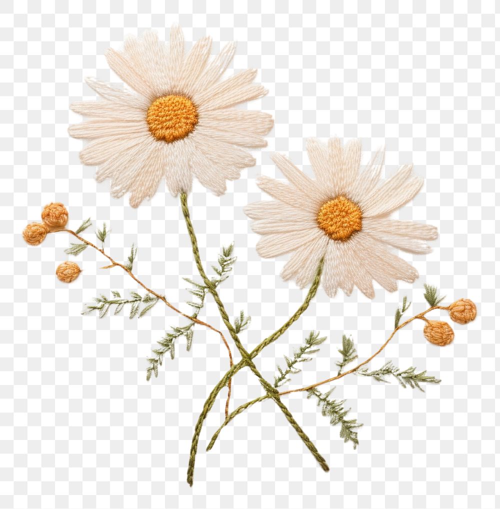 PNG Embroidery daisy pattern flower | Free PNG - rawpixel