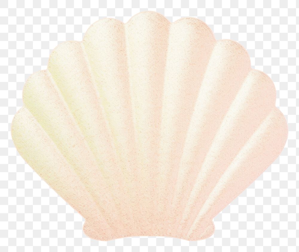 PNG Shell clam white background | Premium PNG - rawpixel