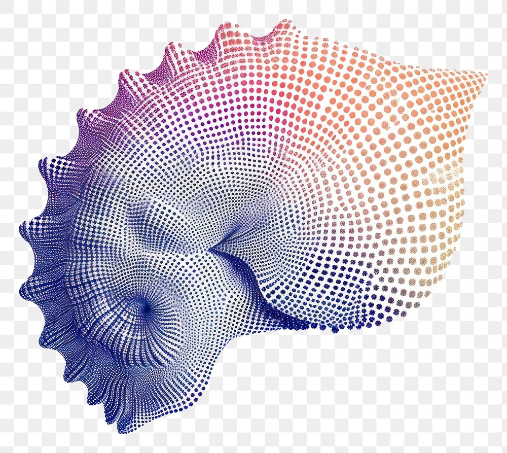 PNG Shell art white background | Free PNG - rawpixel