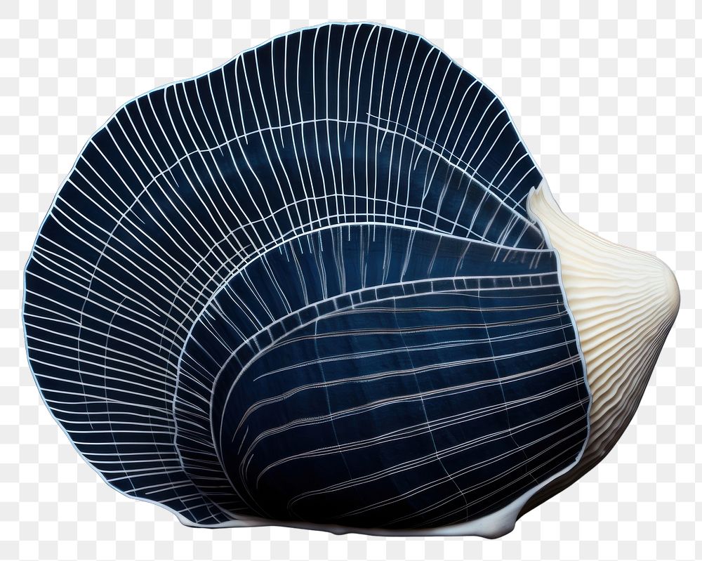 PNG Shell shell blue clam. | Premium PNG - rawpixel