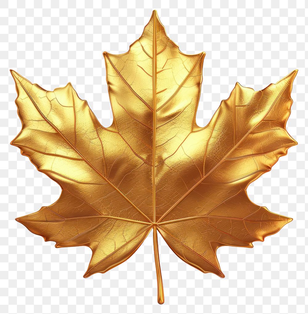 PNG Golden autumn leaf plant | Premium PNG - rawpixel