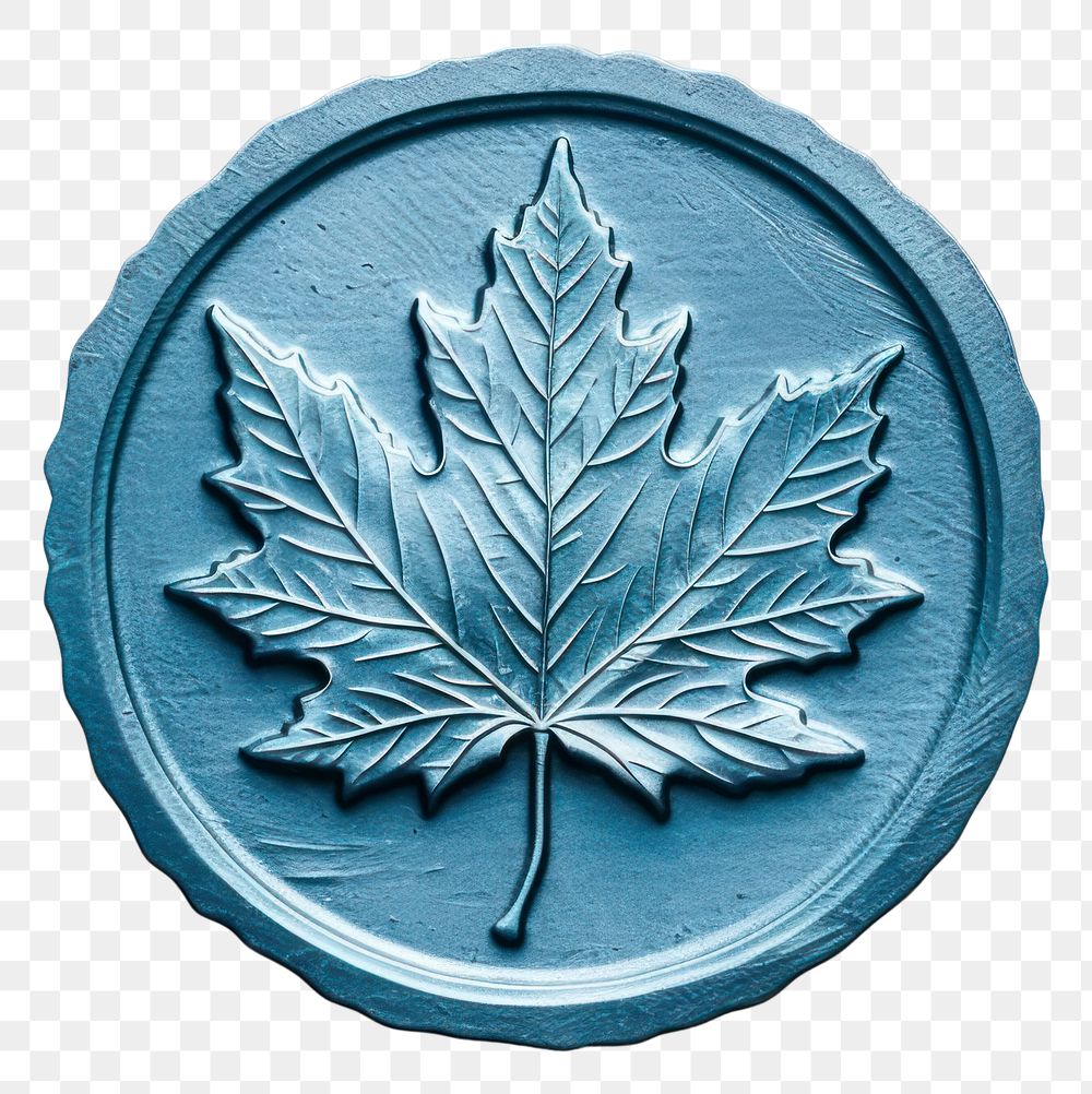 PNG Leaf plant maple blue. | Free PNG - rawpixel