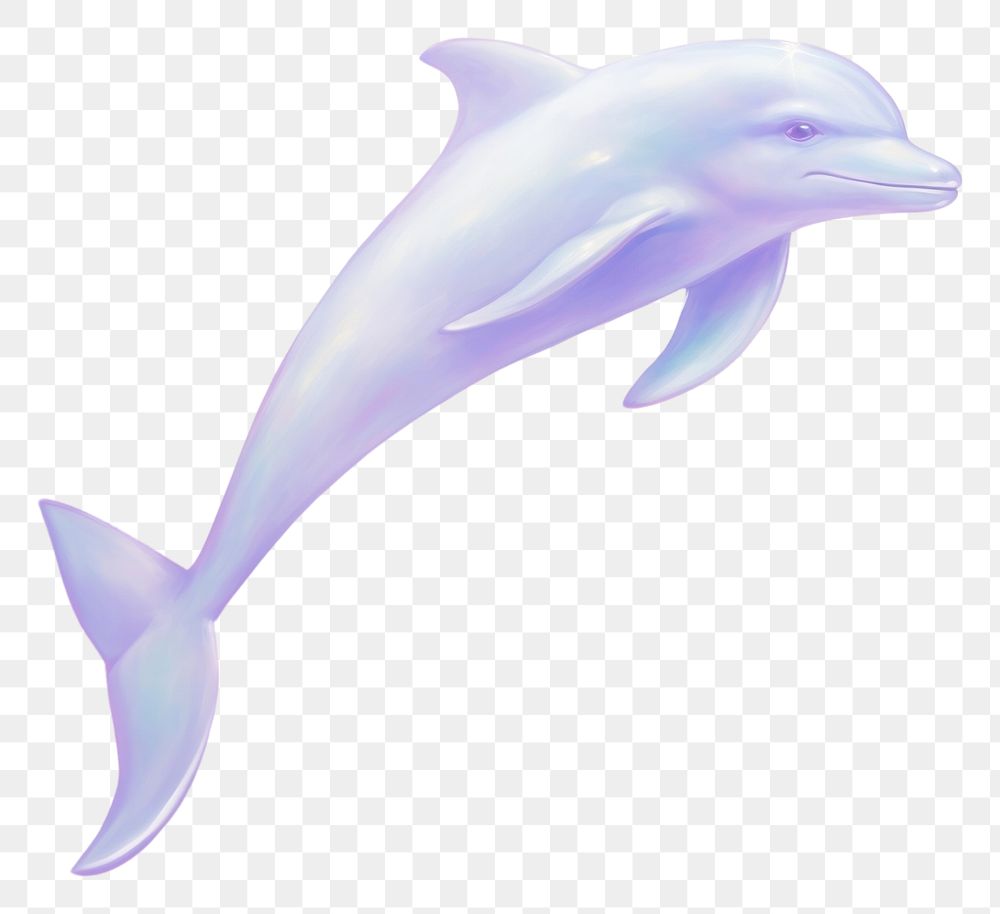 PNG Dolphin animal mammal fish. | Free PNG - rawpixel