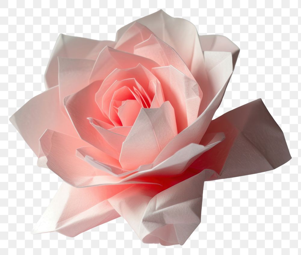 PNG Origami rose flower petal | Free PNG - rawpixel