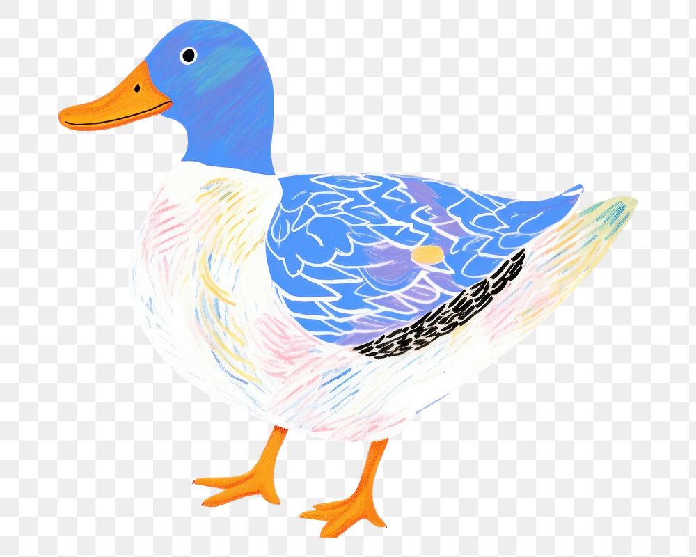 PNG Duck drawing animal bird. | Premium PNG - rawpixel
