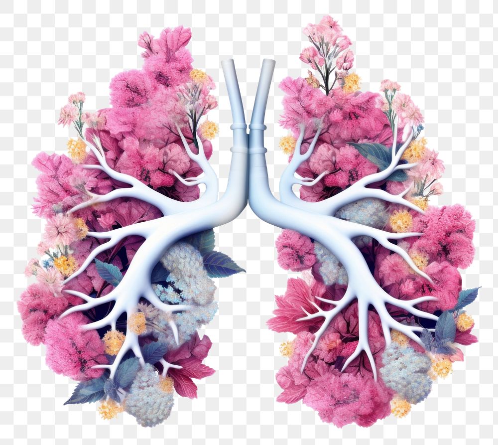 PNG Flowers plant white background | Premium PNG - rawpixel