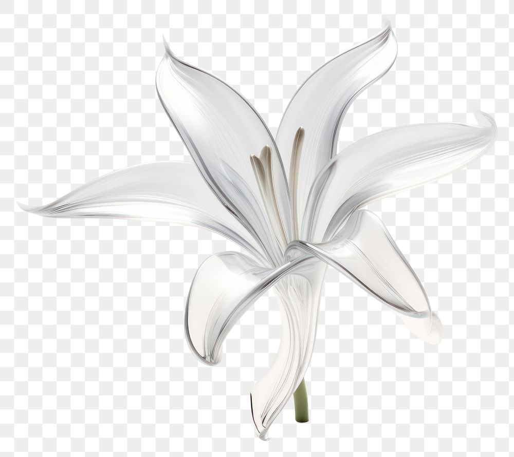 PNG Lily shape transparent minimal | Free PNG - rawpixel