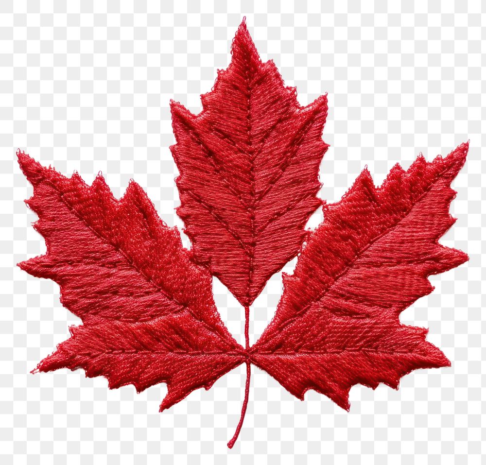 PNG Maple leaf embroidery style | Free PNG - rawpixel