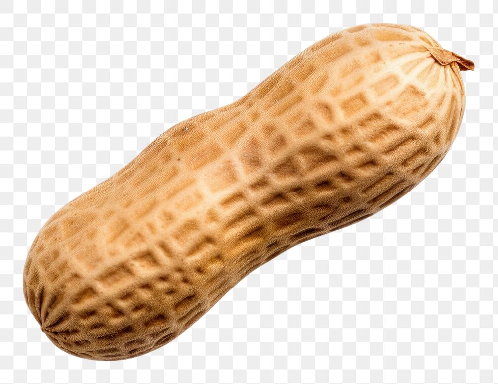 PNG One peanuts vegetable plant | Free PNG - rawpixel