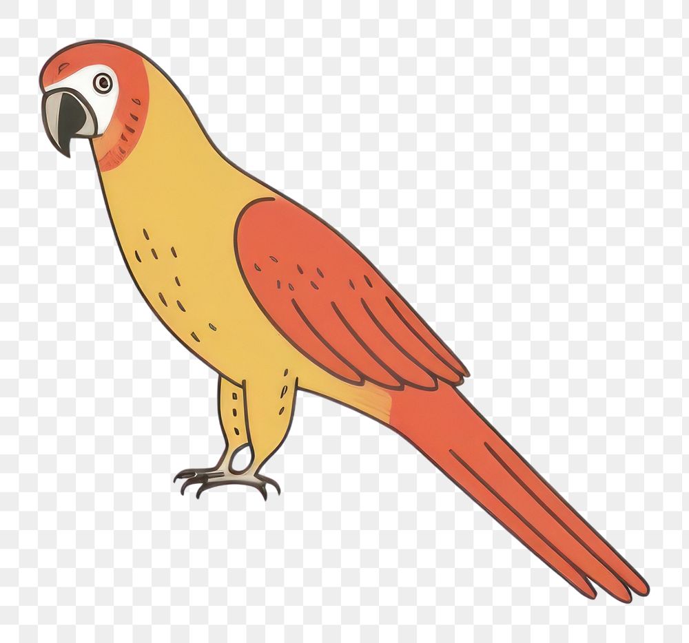 PNG Parrot drawing animal bird | Free PNG - rawpixel