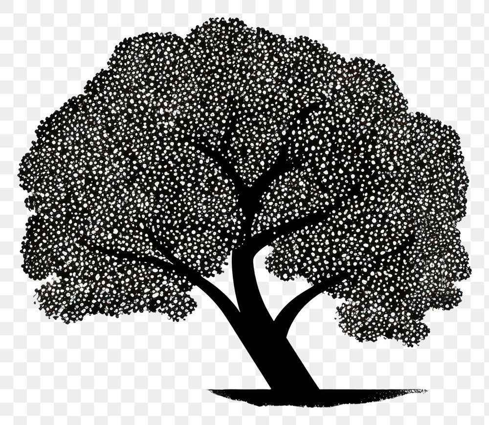 PNG Oak tree drawing sketch | Free PNG - rawpixel