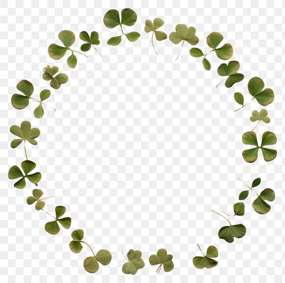 PNG Real pressed shamrock leaves | Premium PNG - rawpixel