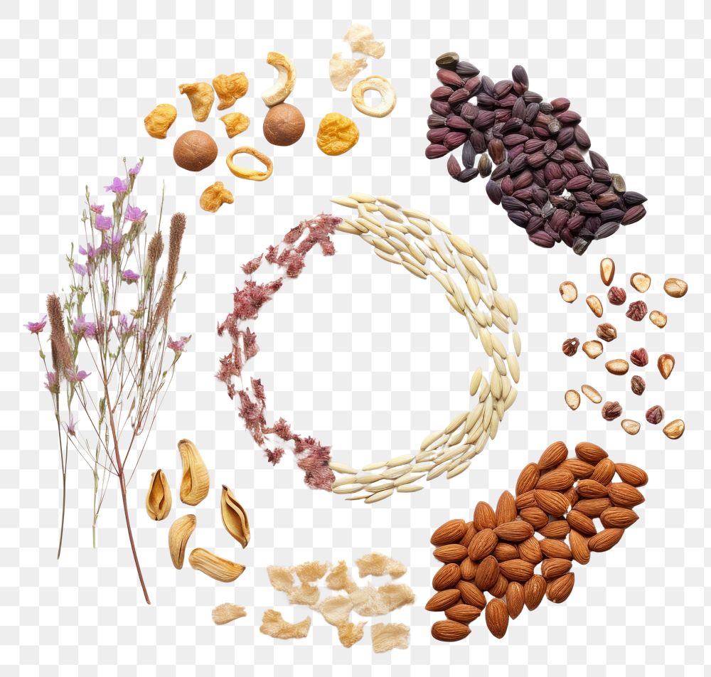 PNG Nuts and grains plant | Free PNG - rawpixel