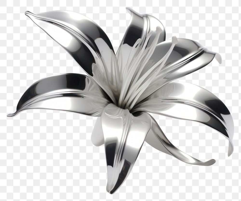 PNG Jewelry flower silver plant. | Free PNG - rawpixel