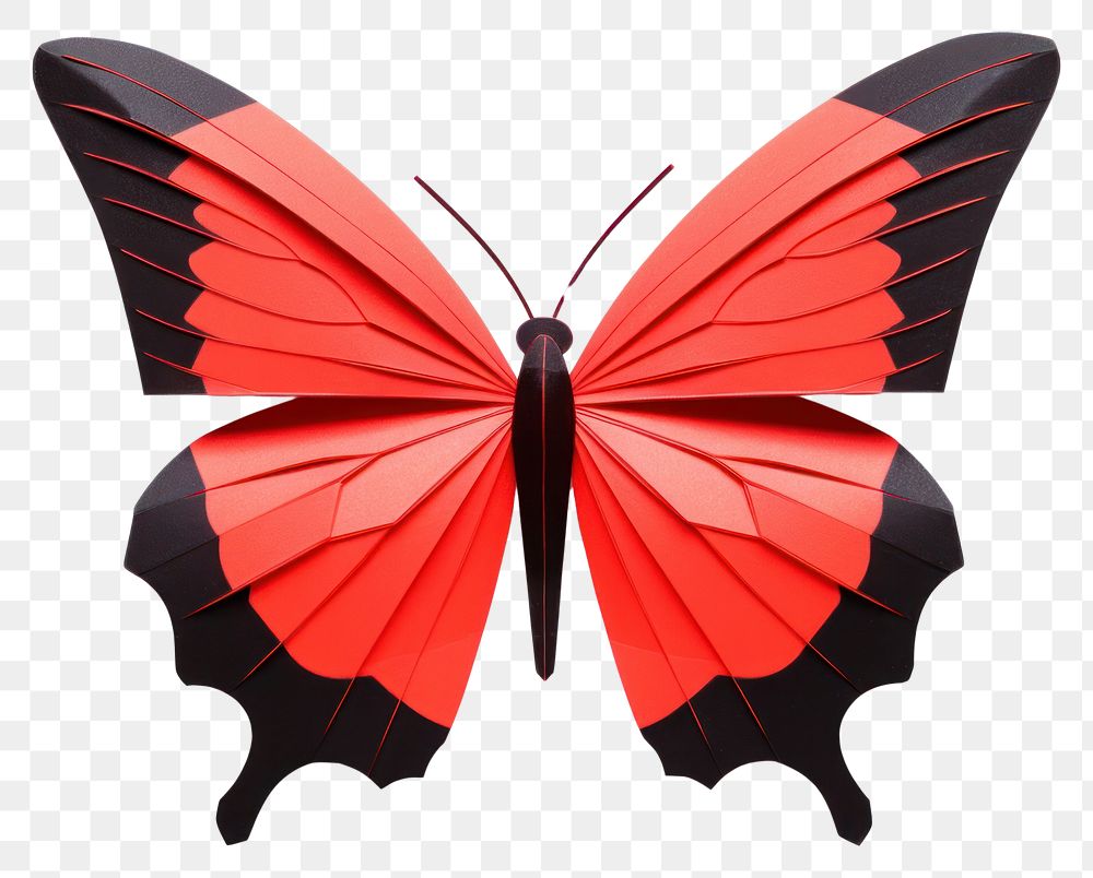 PNG Paper craft butterfly animal | Free PNG - rawpixel