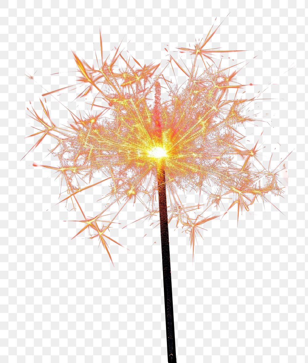 PNG Firework fireworks outdoors nature. | Premium PNG - rawpixel