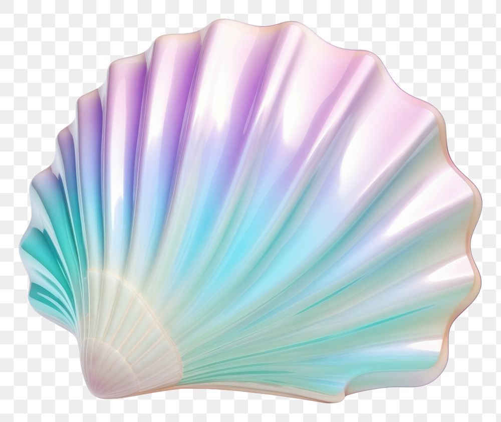 PNG Cute sea shell clam | Premium PNG - rawpixel