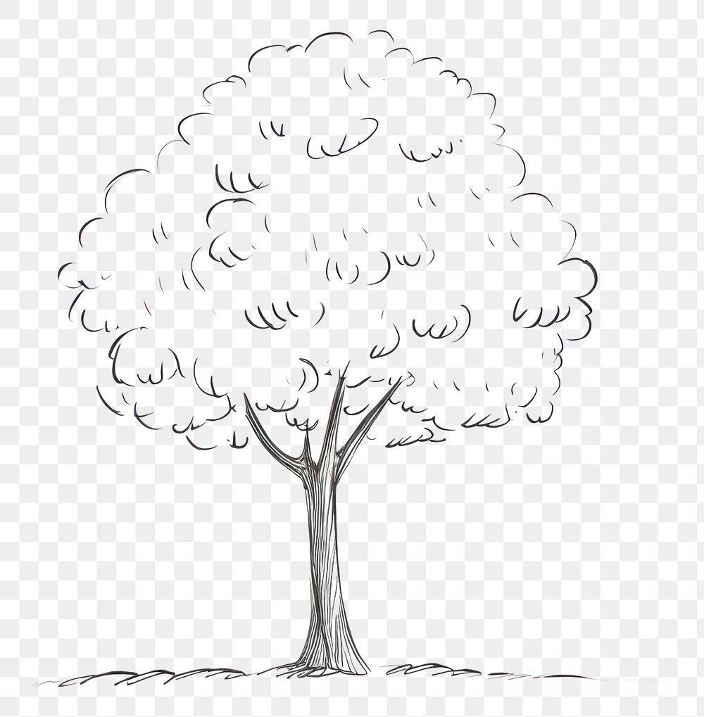 PNG tree drawing sketch white. | Free PNG - rawpixel