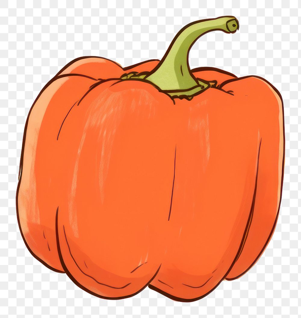 PNG Capsicum vegetable drawing plant | Free PNG - rawpixel