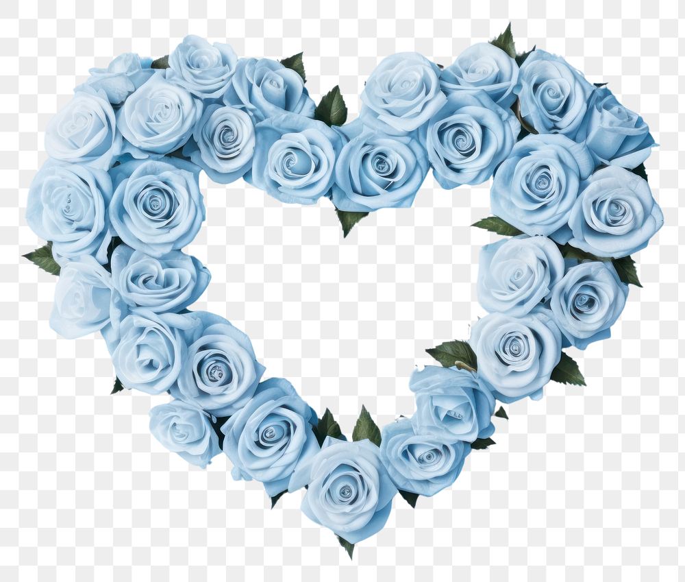 PNG Pattern flower plant rose. | Premium PNG - rawpixel