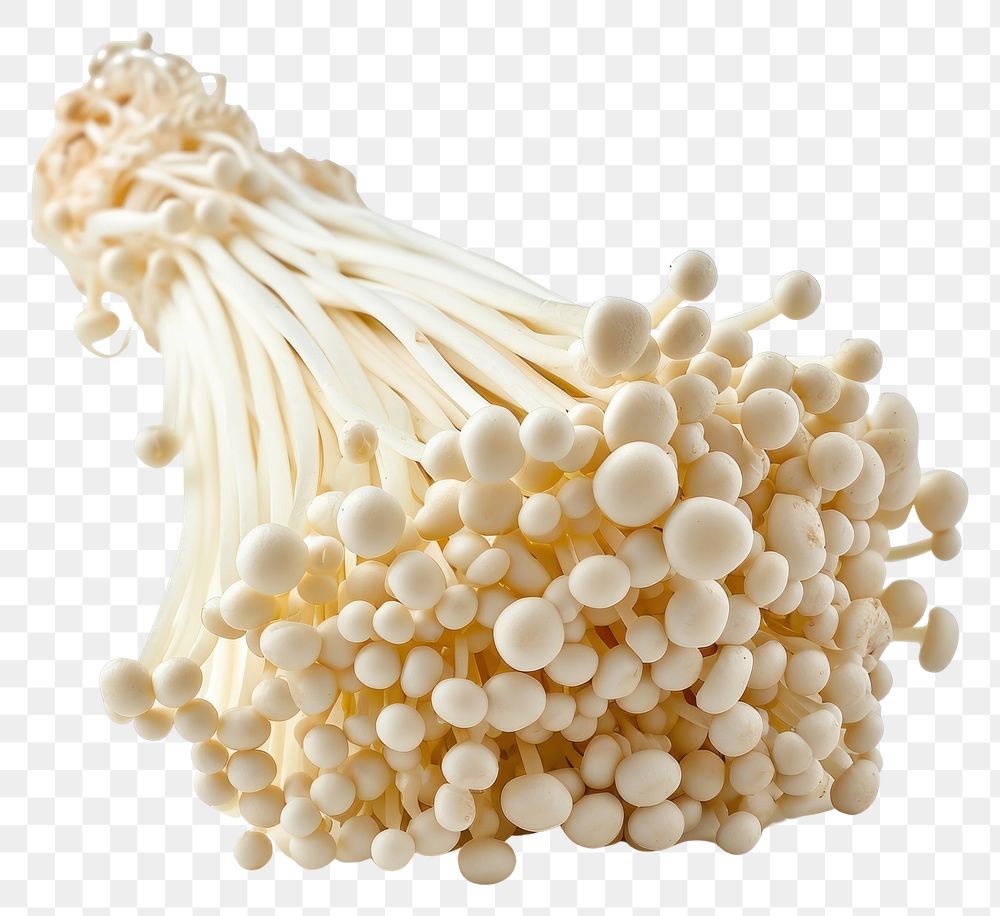 PNG Enoki Mushrooms food mushroom | Free PNG - rawpixel
