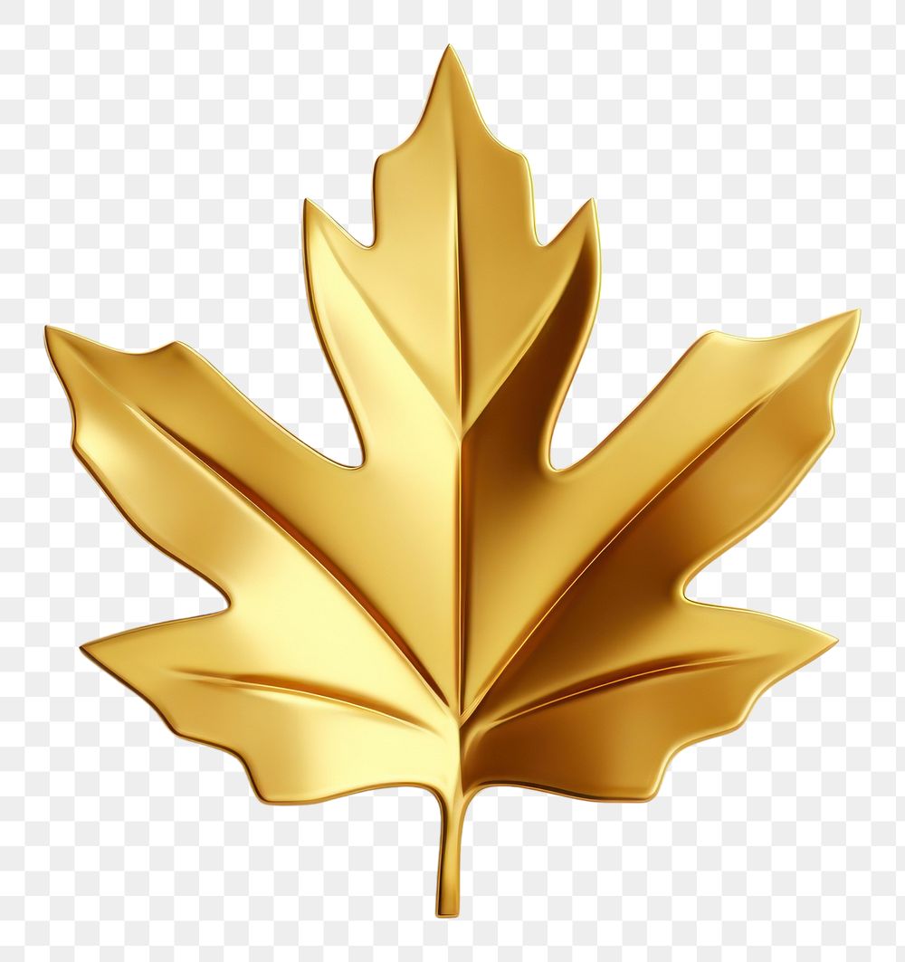 PNG Autumn leaf plant gold | Free PNG - rawpixel