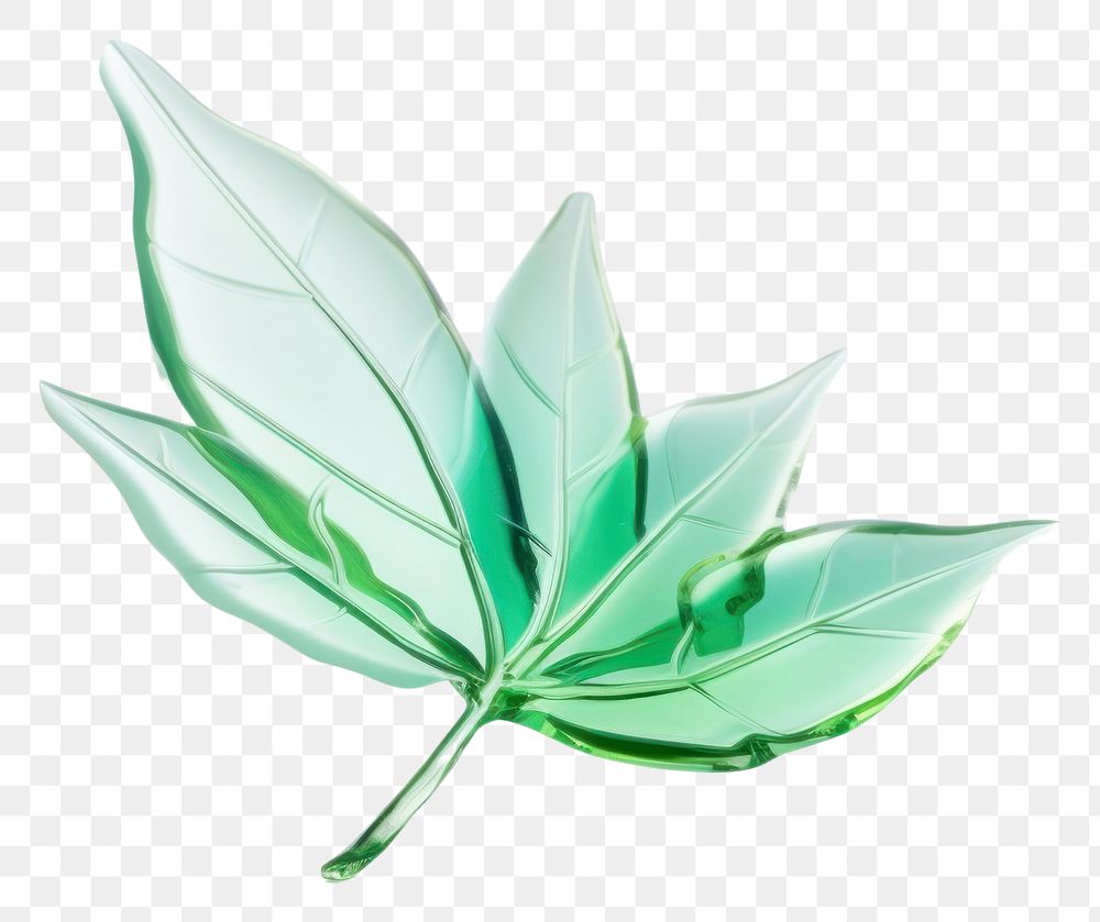 PNG Transparent glass mini simple | Free PNG - rawpixel