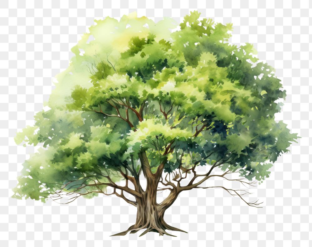 PNG Tree land outdoors painting. | Premium PNG - rawpixel