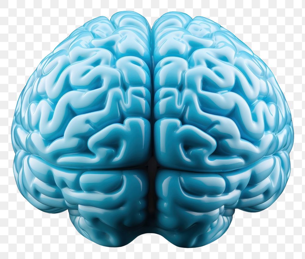 PNG Brain blue tomography turquoise. | Premium PNG - rawpixel