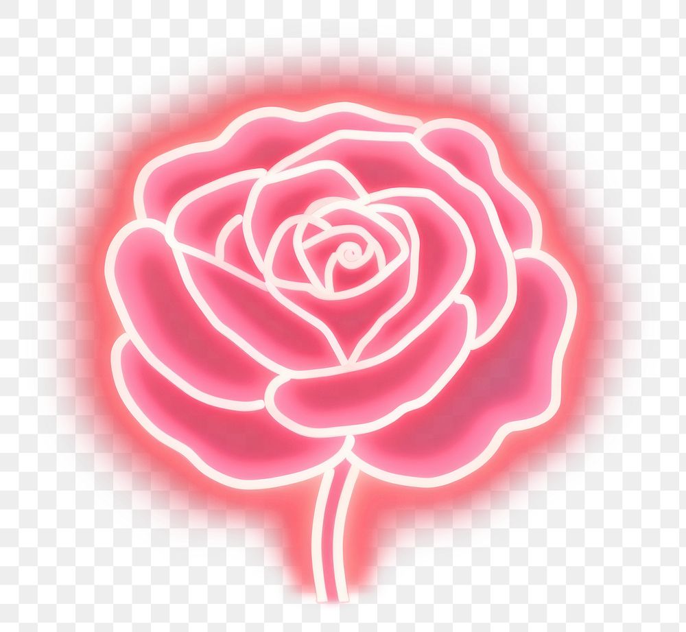 PNG Light neon rose flower. | Premium PNG - rawpixel