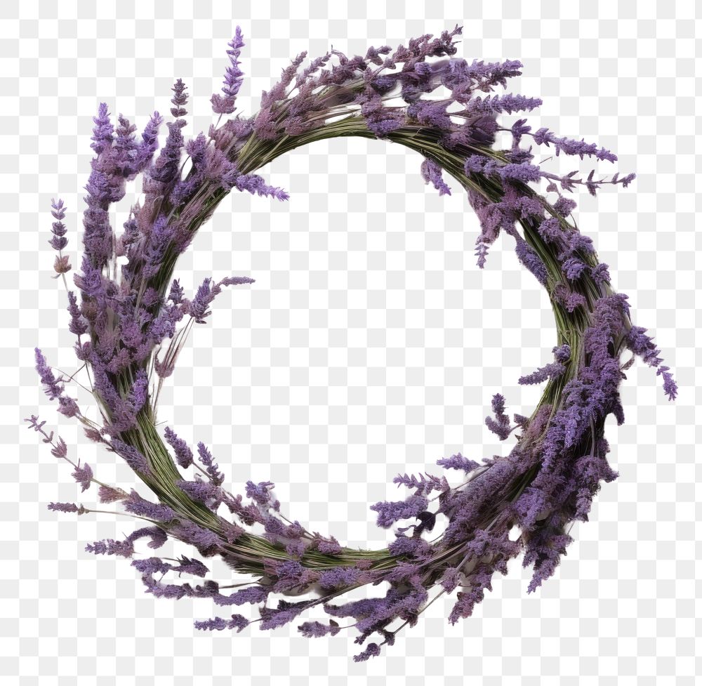 PNG Real Pressed lavender flower | Free PNG - rawpixel