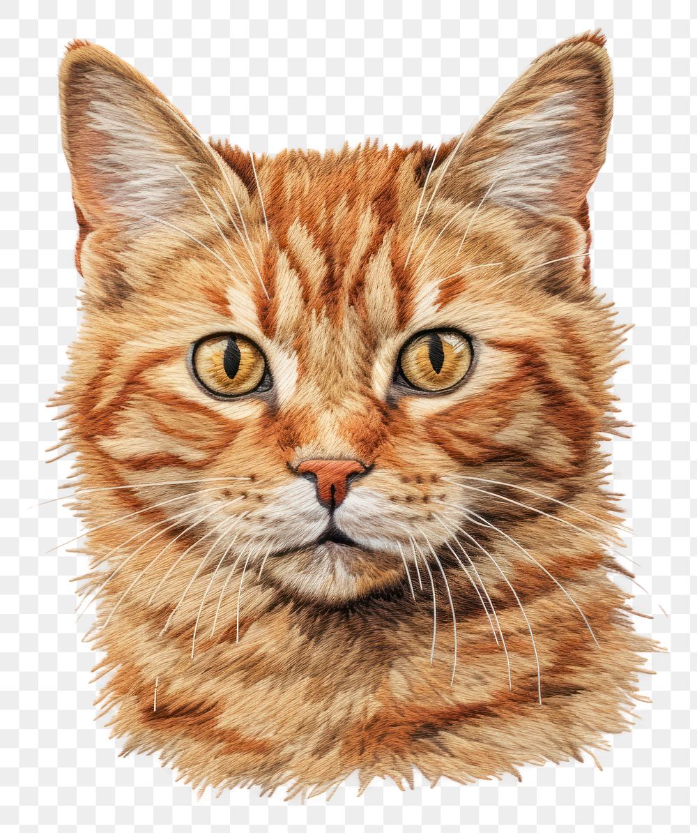 PNG Ginger cat embroidery style | Free PNG - rawpixel